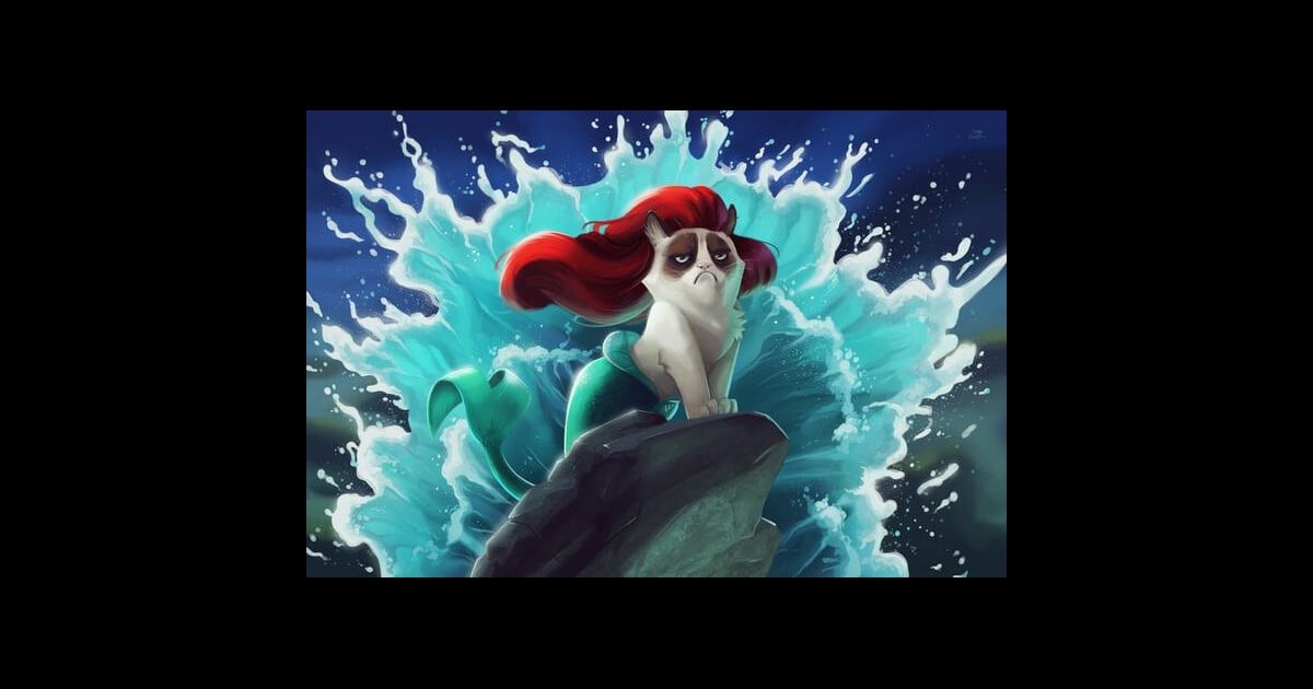 grumpy cat ariel