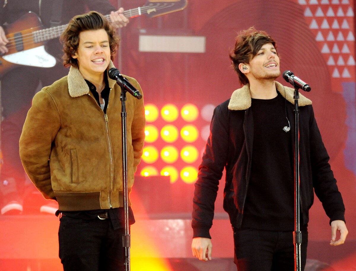 Photo : One Direction : Louis Tomlinson et Harry Styles en concert à NY ...