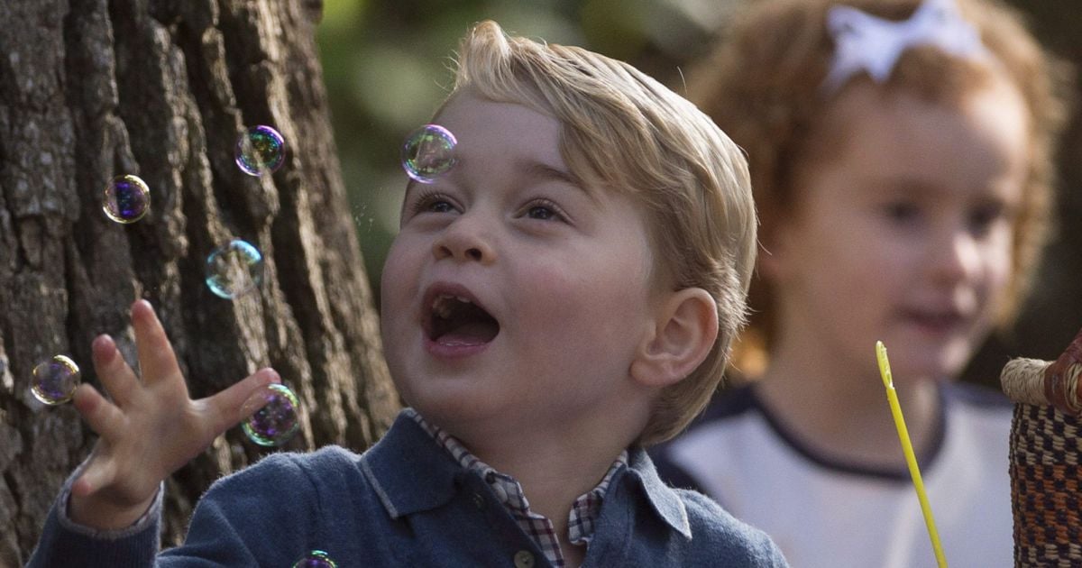 Le Prince George au Canada le 30 septembre 2016 - Purebreak