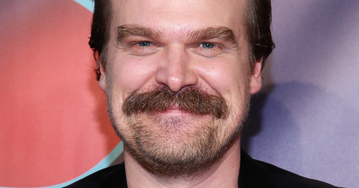 David Harbour (Stranger Things) marie deux fans de la série - PureBreak