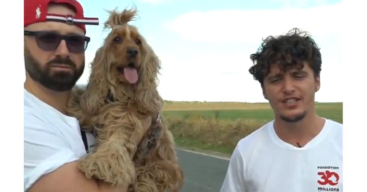 Hugo Tout Seul visite un refuge 30 Millions d'amis pour aider les ...