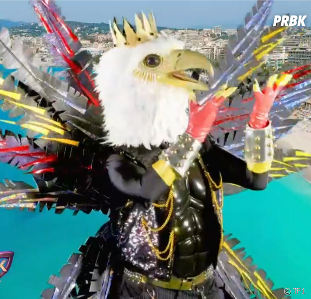 Mask Singer : quelle célébrité est l'aigle ? Les indices qui dévoilent ...