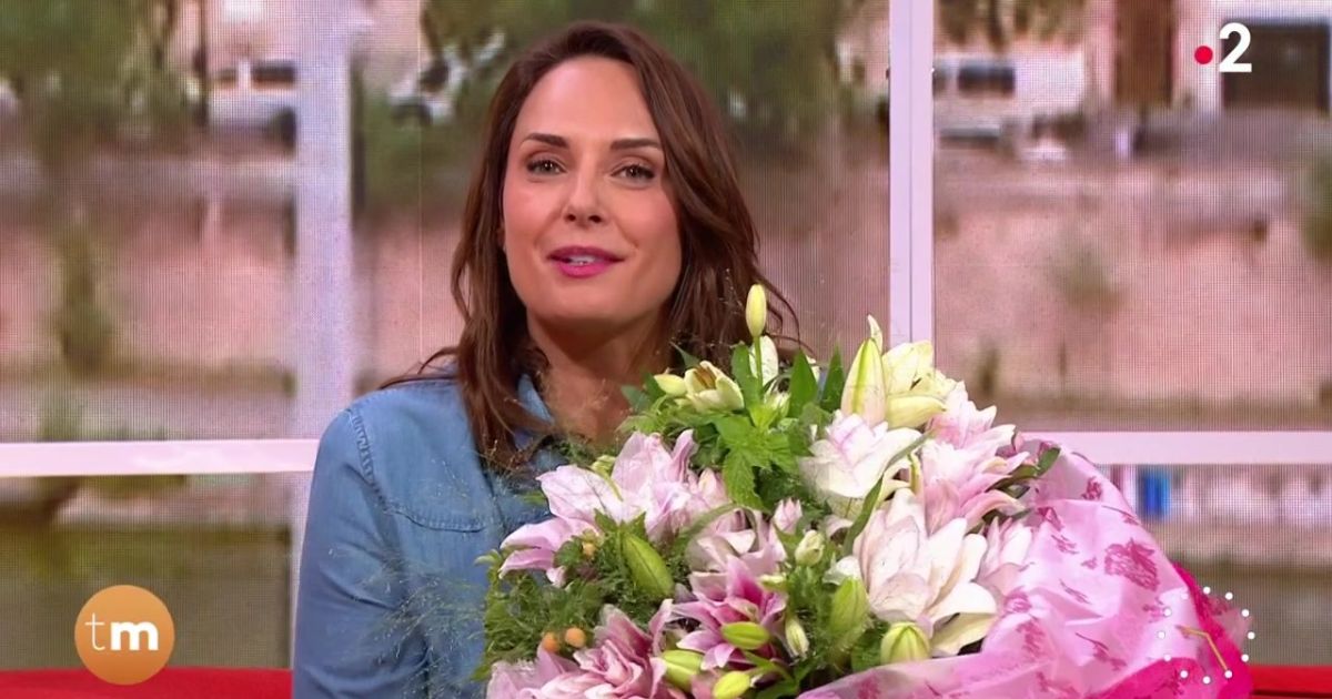 "Ce milieu n'est pas facile" : Julia Vignali victime de jalousie de la part de Sophie Davant ? L ...