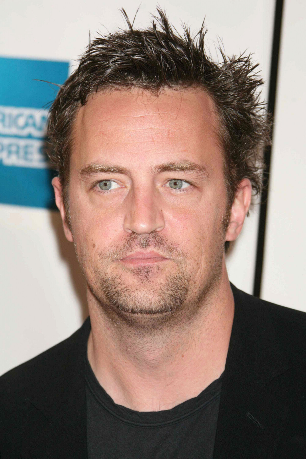 Photo : Matthew Perry attends the premiere of "The Business of Being ...