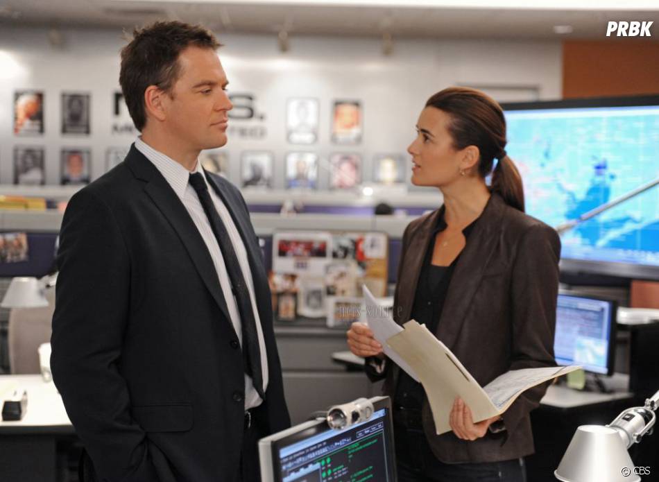 Quel avenir pour les personnages dans NCIS ? - Purebreak