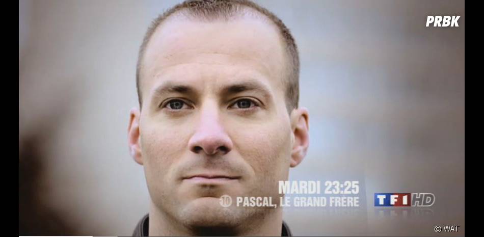 Pascal, le grand frère : audiences décevantes sur TF1 l'été dernier ...