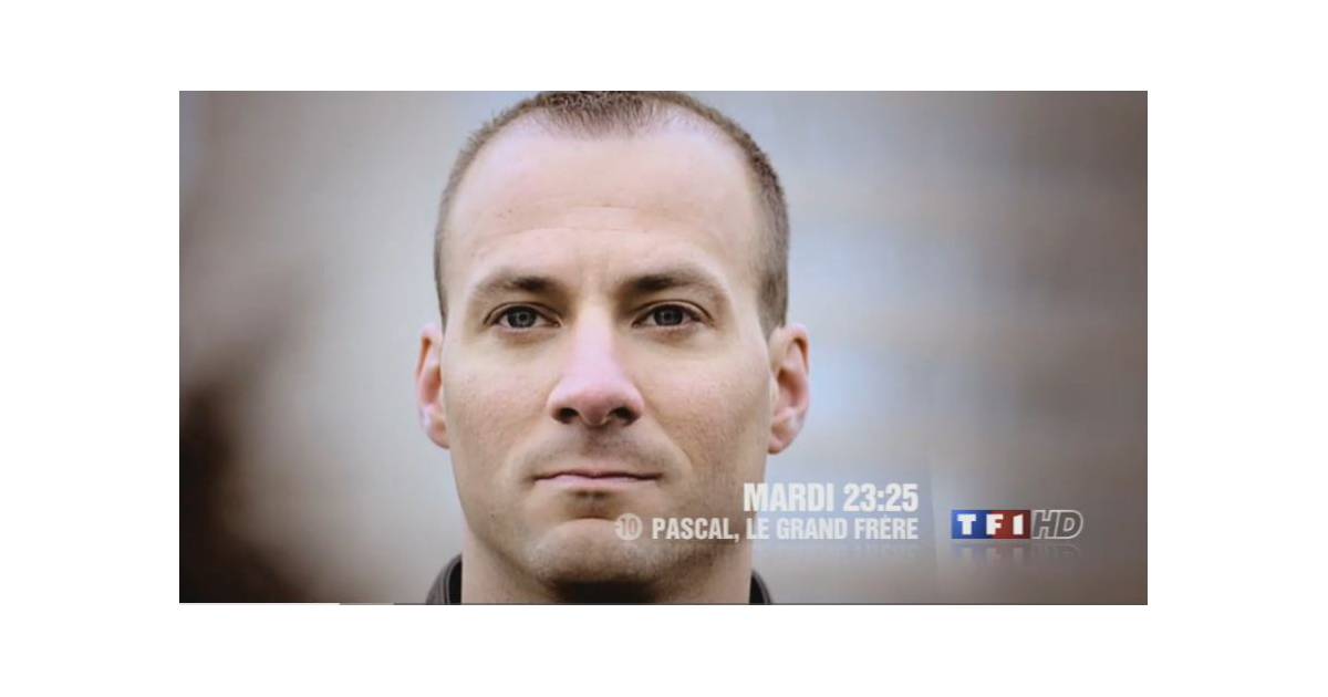 Pascal, le grand frère : audiences décevantes sur TF1 l'été dernier ...
