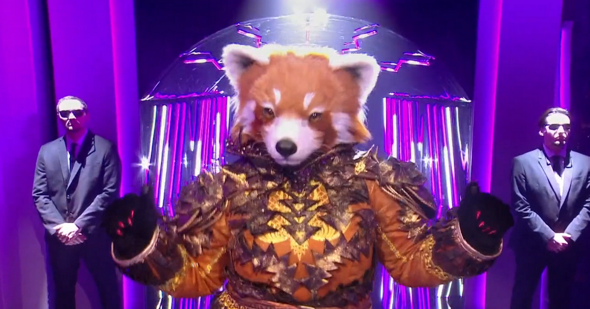 Mask Singer : pas vu à la télé, ce moment qui a fait trembler Le Panda ...