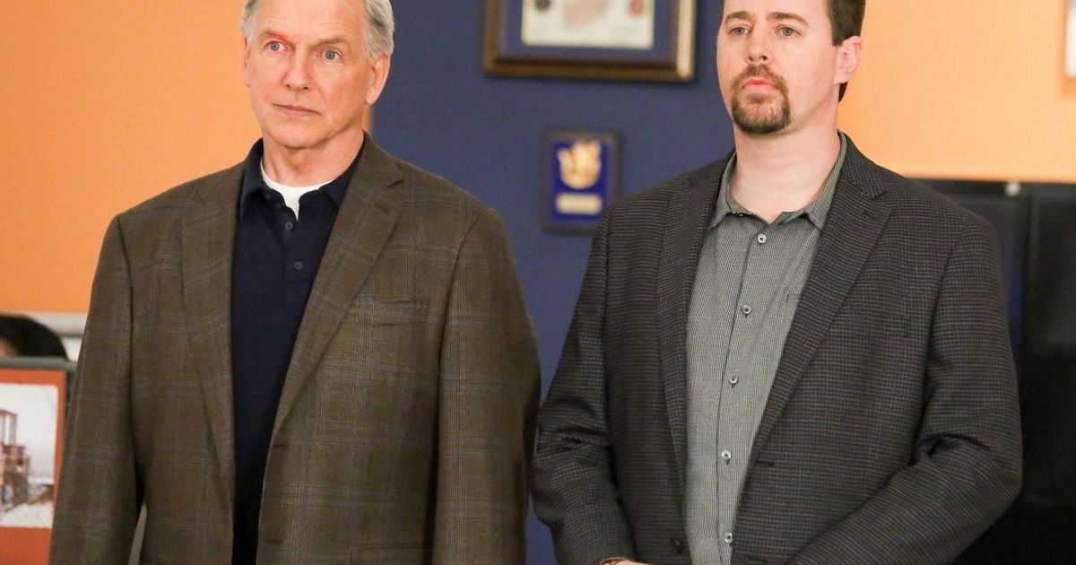 NCIS : l'épisode 500 sera à "la hauteur d'un tel cap" promet le ...