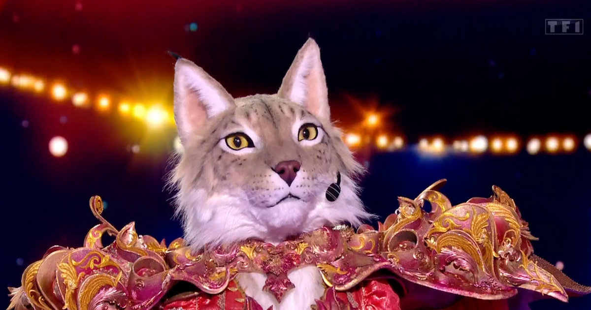Mask Singer 2025 : le Lynx éliminé et déçu par le choix de chanson de ...
